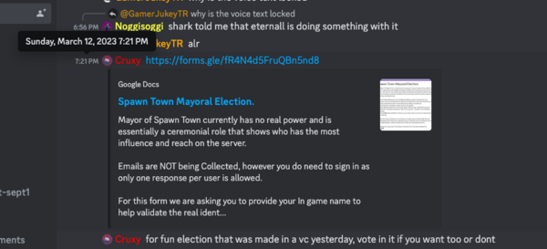 1st Spawn Town Election - RetroMC